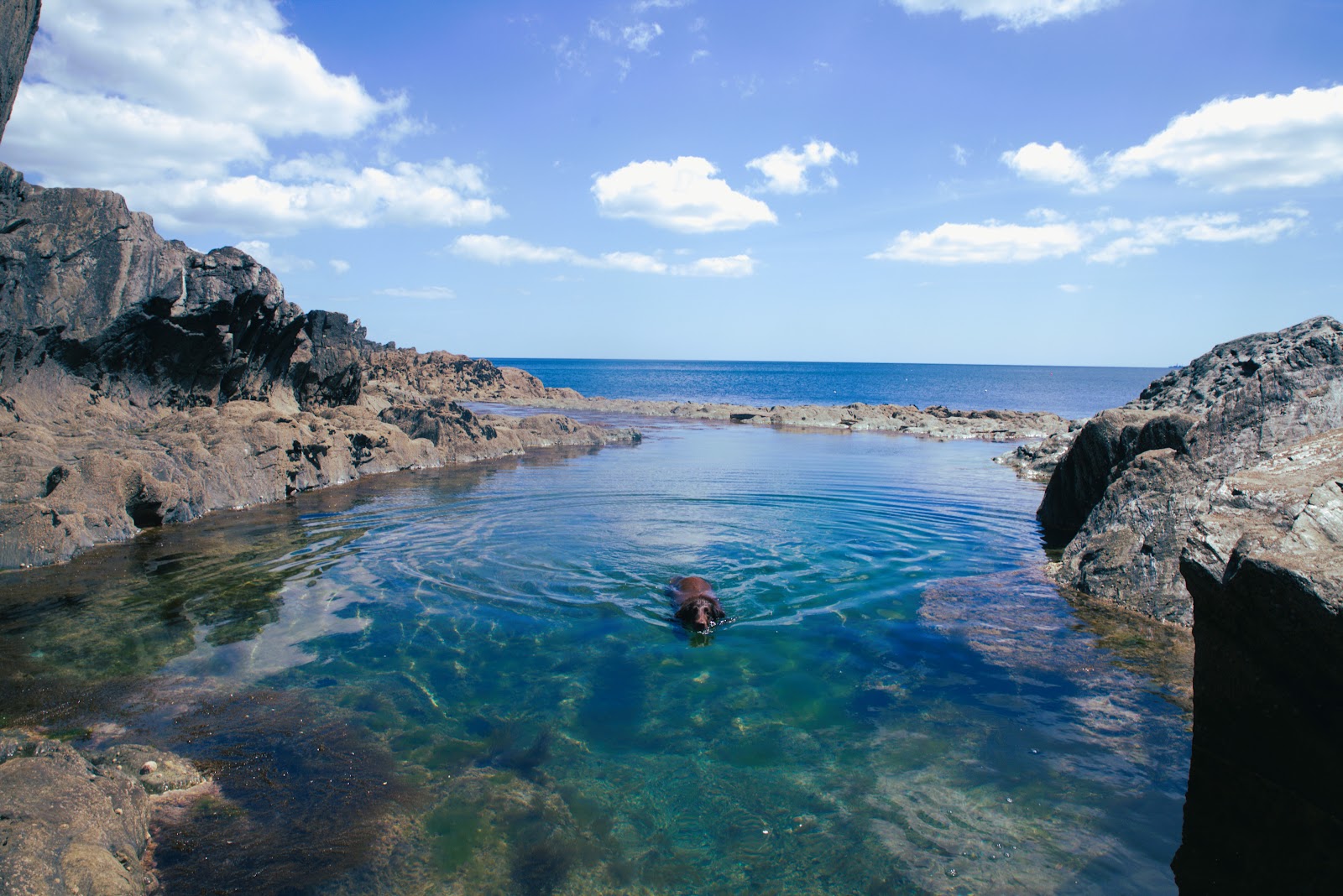 Chapel Pool Tidal Pool (2026) – Best of TikTok, Instagram & Reddit ...