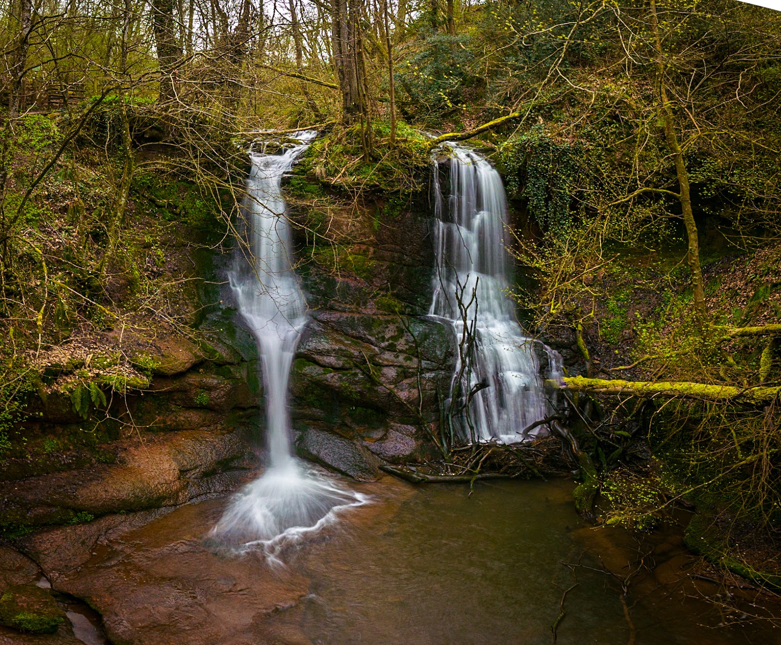 Pwll y Wrach Nature Reserve (2026) – Best of TikTok, Instagram & Reddit ...