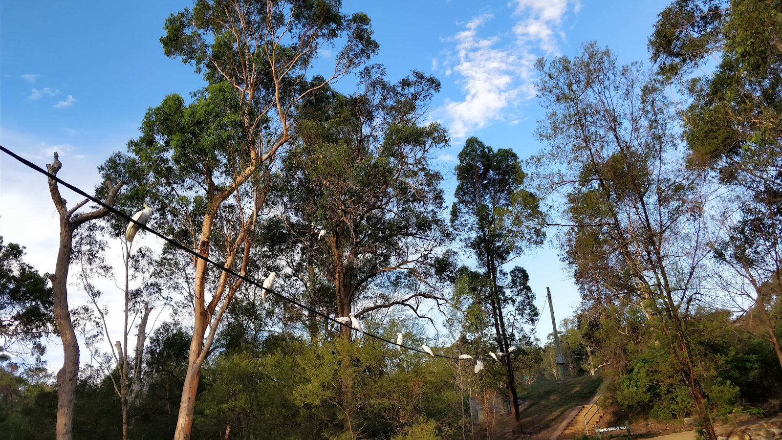 Fred Caterson Reserve (2026) – Best of TikTok, Instagram & Reddit ...