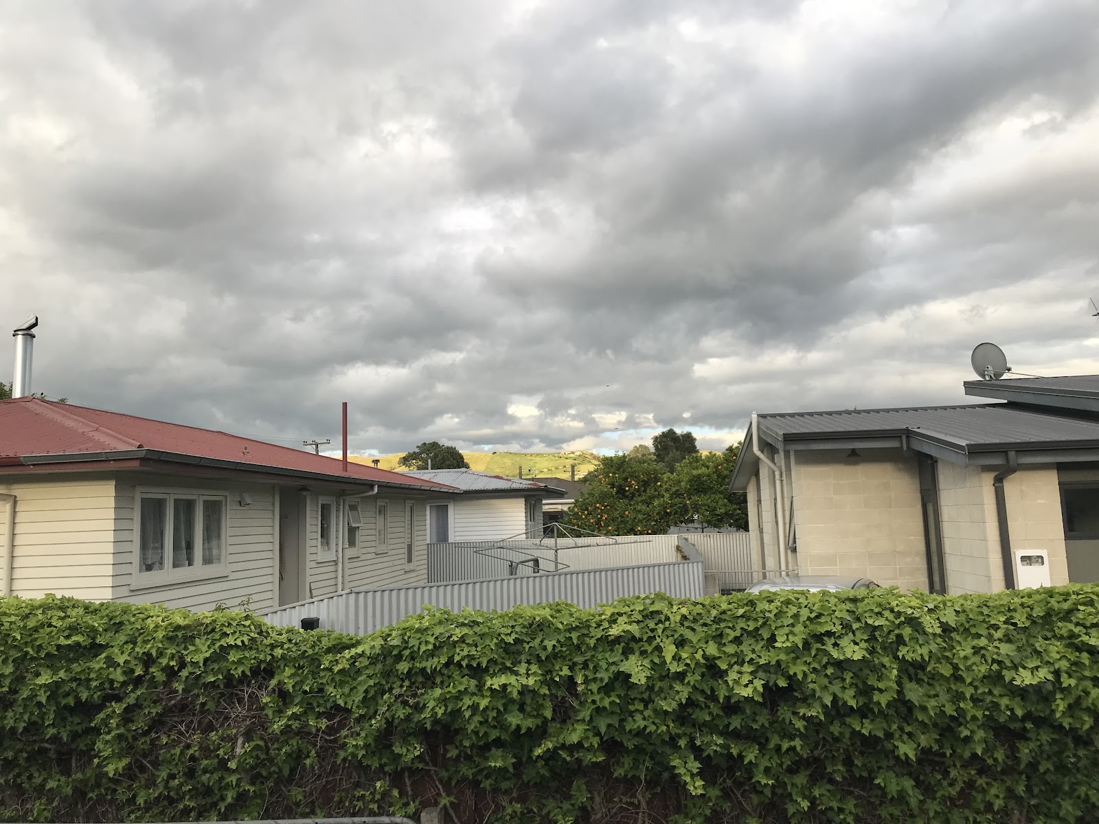 Taradale Village (2026) – Best of TikTok, Instagram & Reddit Travel Guide