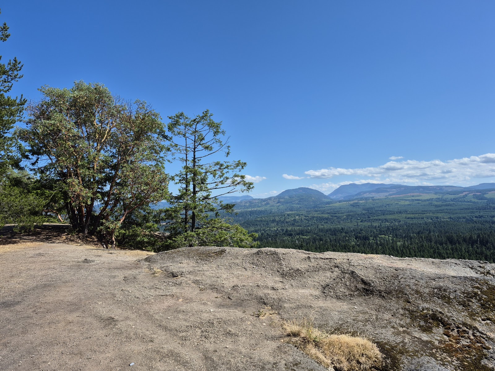 Little Mountain Lookout (2026) – Best of TikTok, Instagram & Reddit ...