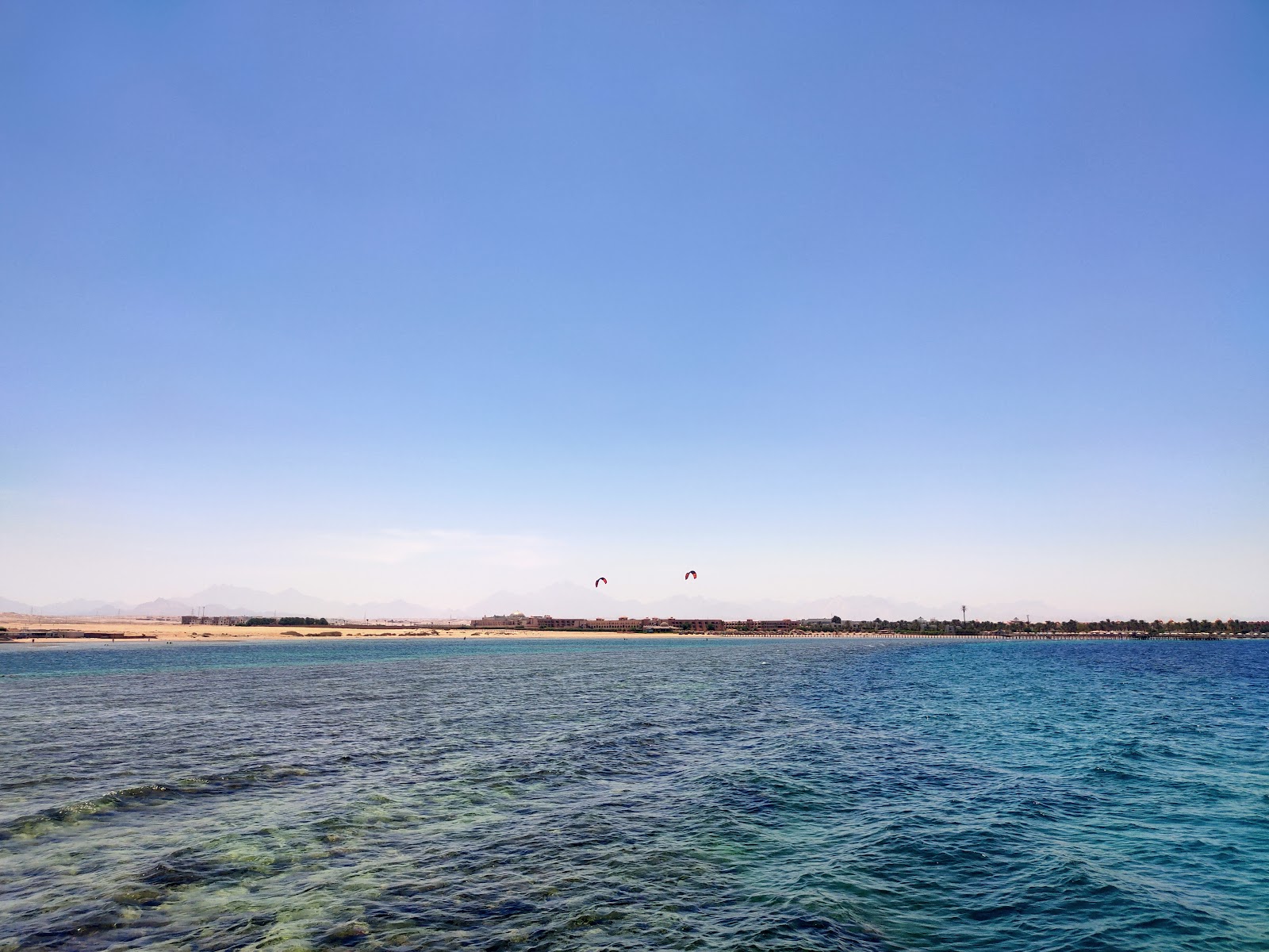 Red Sea Coral Reef Hurghada (2025) – Best of TikTok, Instagram & Reddit ...