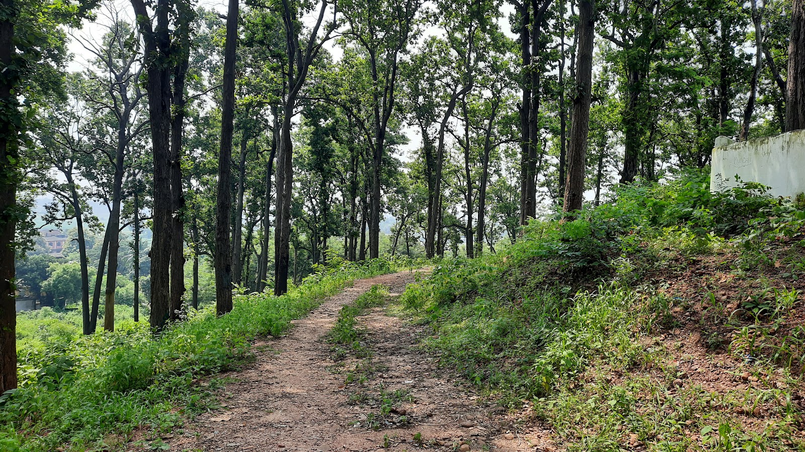 Phuldungri Hill (2025) – Best of TikTok, Instagram & Reddit Travel Guide