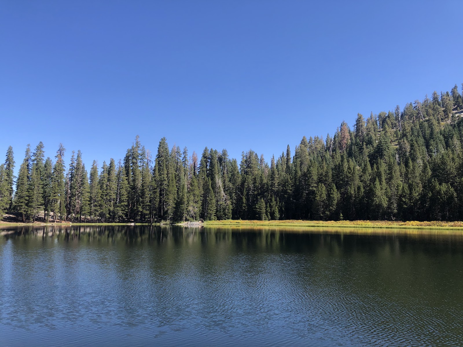 Lukens Lake (2026) – Best of TikTok, Instagram & Reddit Travel Guide