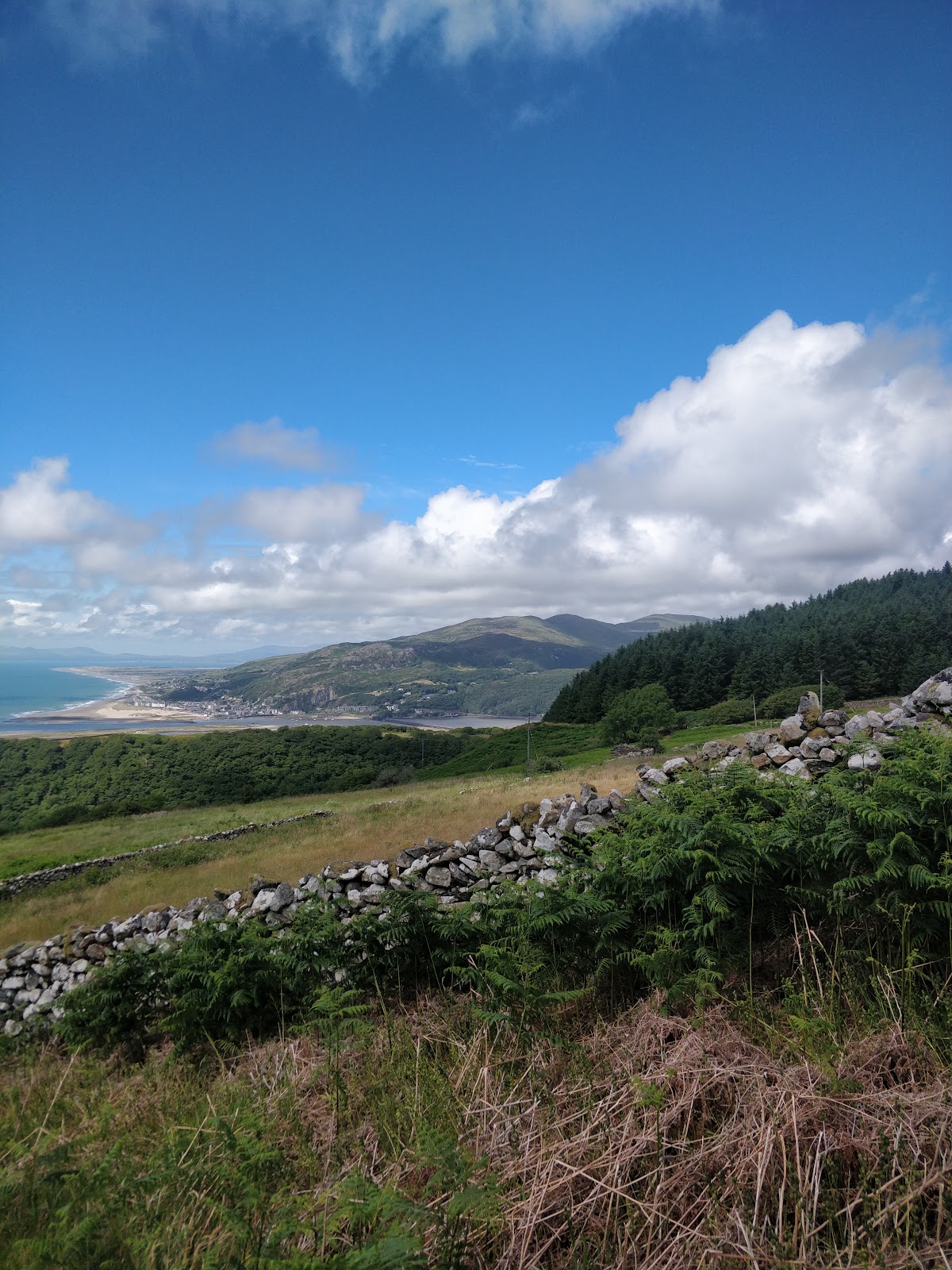 Arthog Bog Nature Reserve (2025) – Best of TikTok, Instagram & Reddit ...