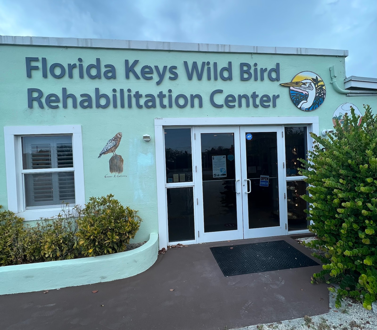Florida Keys Wild Bird Center (2025) – Best of TikTok, Instagram ...