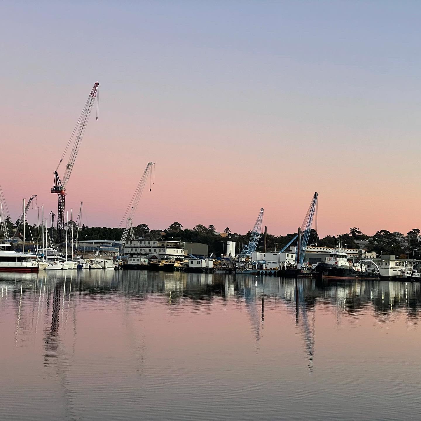 Rozelle Bay Sydney (2026) – Best of TikTok, Instagram & Reddit Travel Guide