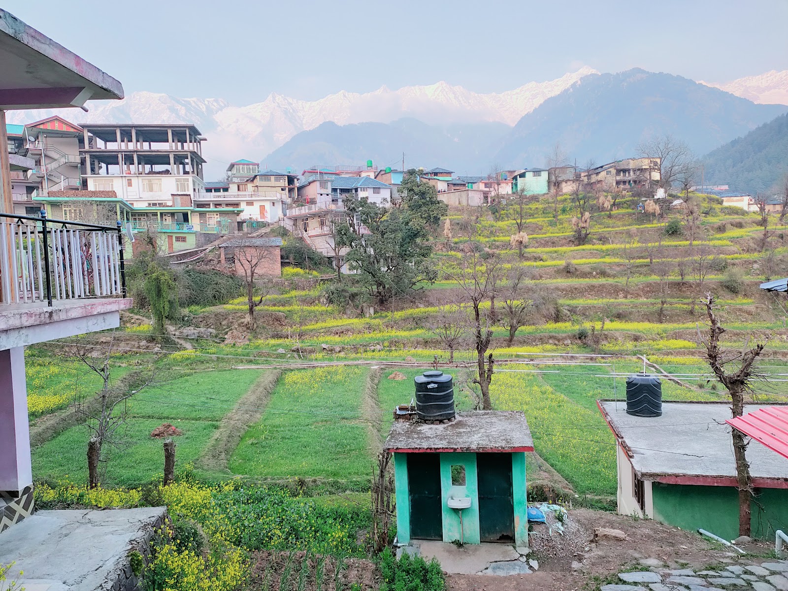 Naddi Village Dharamshala (2026) – Best of TikTok, Instagram & Reddit ...