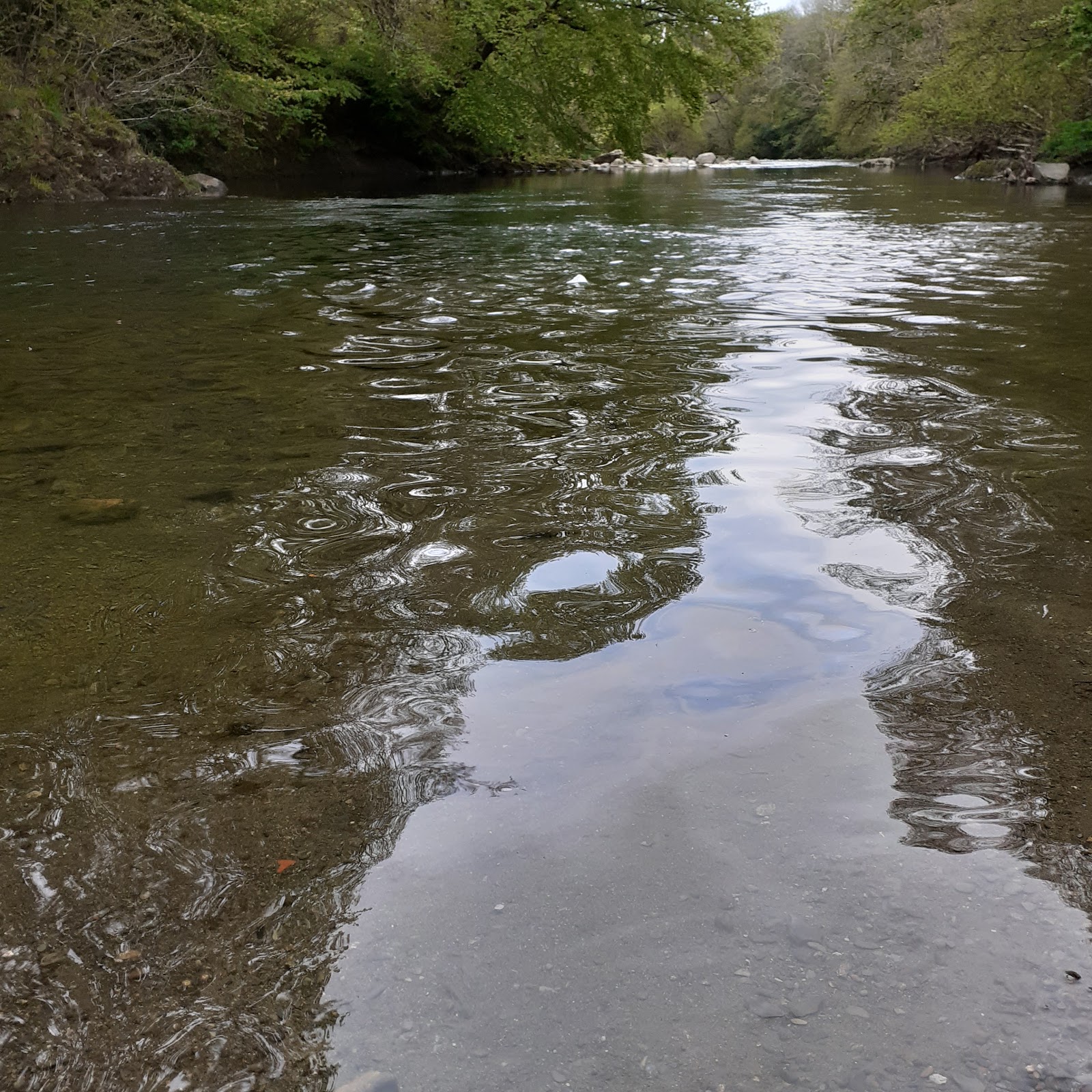 River Cocker–River Derwent Confluence Cockermouth Cumbria (2026) – Best ...