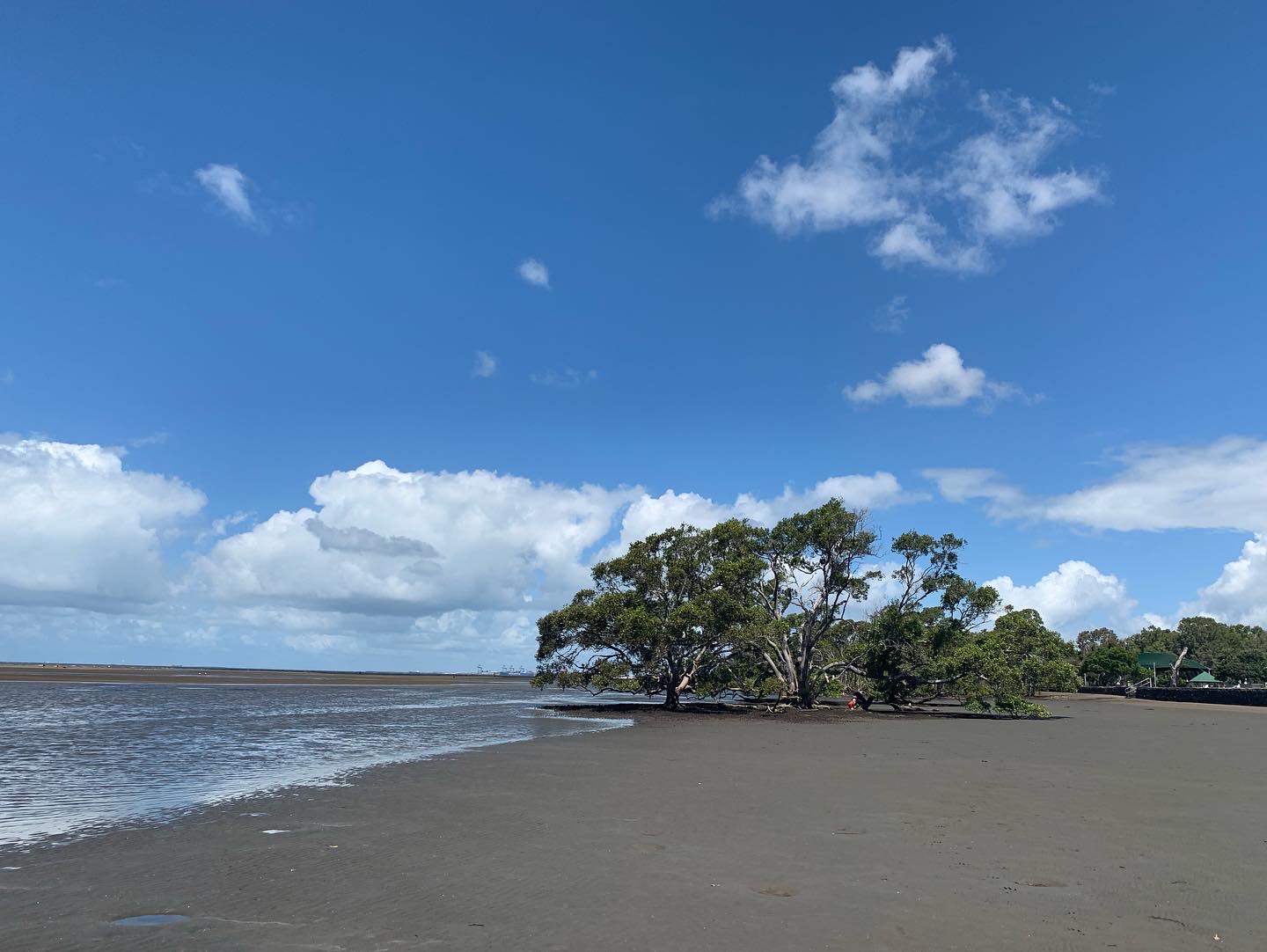 Nudgee Beach Boardwalk Brisbane (2026) – Best of TikTok, Instagram ...