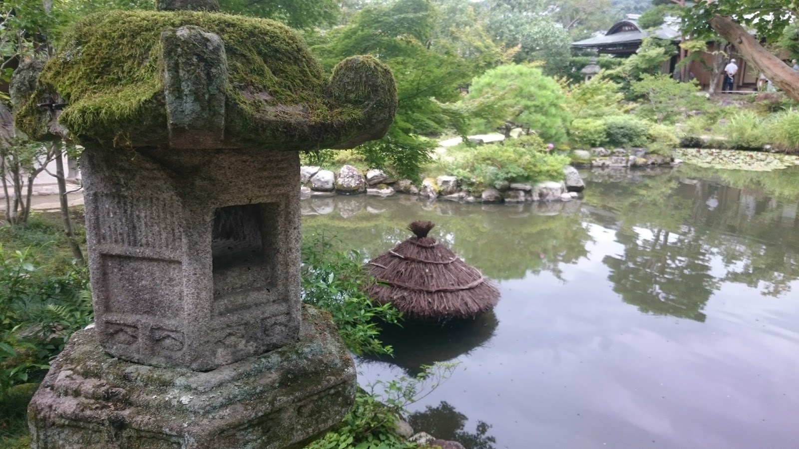 Naramachi Osaka (2026) – Best of TikTok, Instagram & Reddit Travel Guide