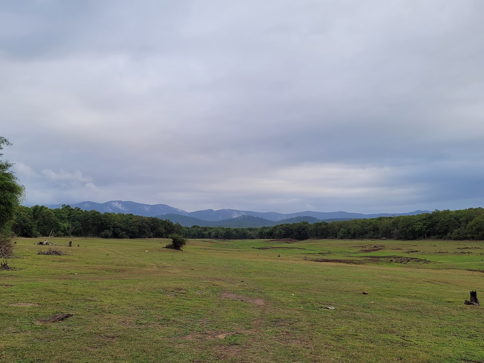 Bhadra Wildlife Sanctuary Lakkavalli Range (2025) – Best of TikTok ...