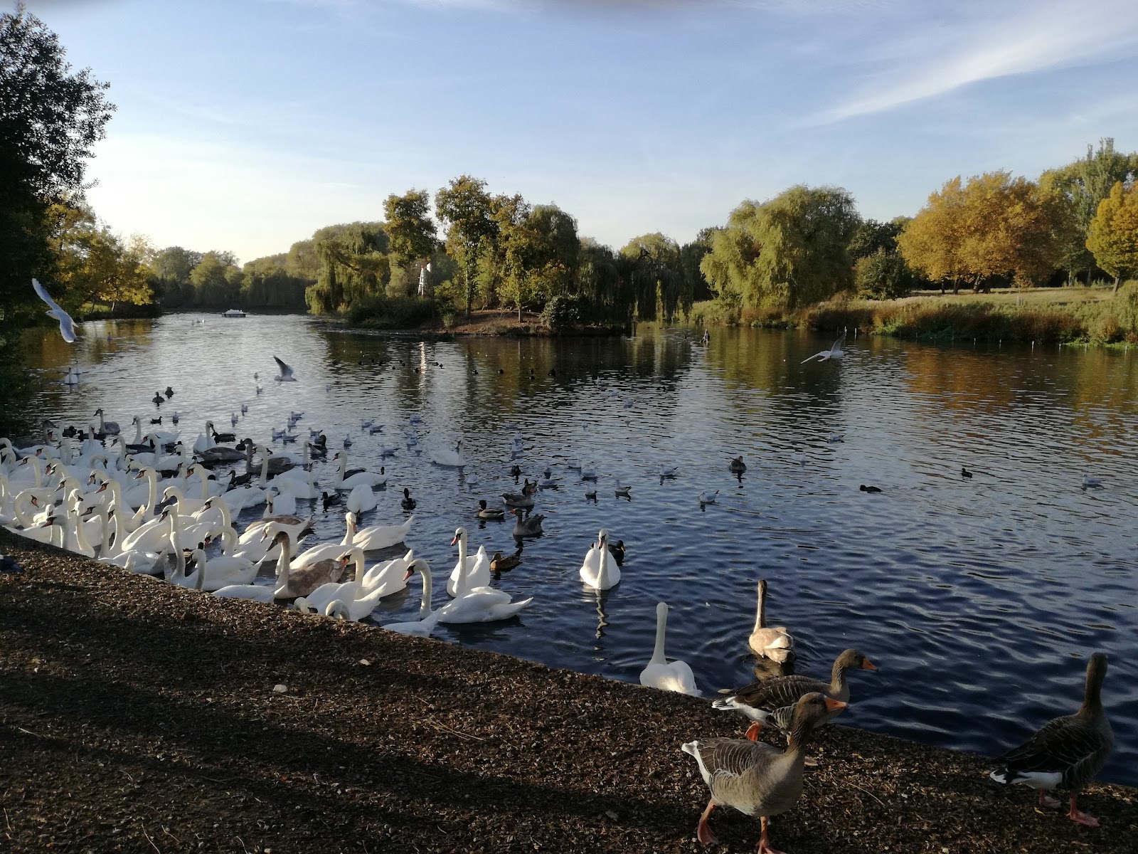 Harrow Lodge Park Hornchurch London (2026) – Best of TikTok, Instagram ...