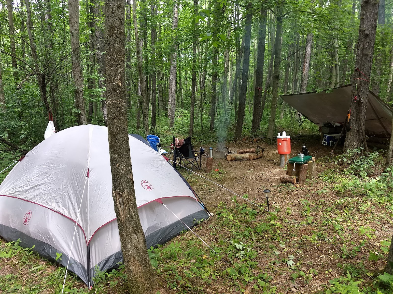Finger Lakes National Forest (2025) – Best of TikTok, Instagram ...
