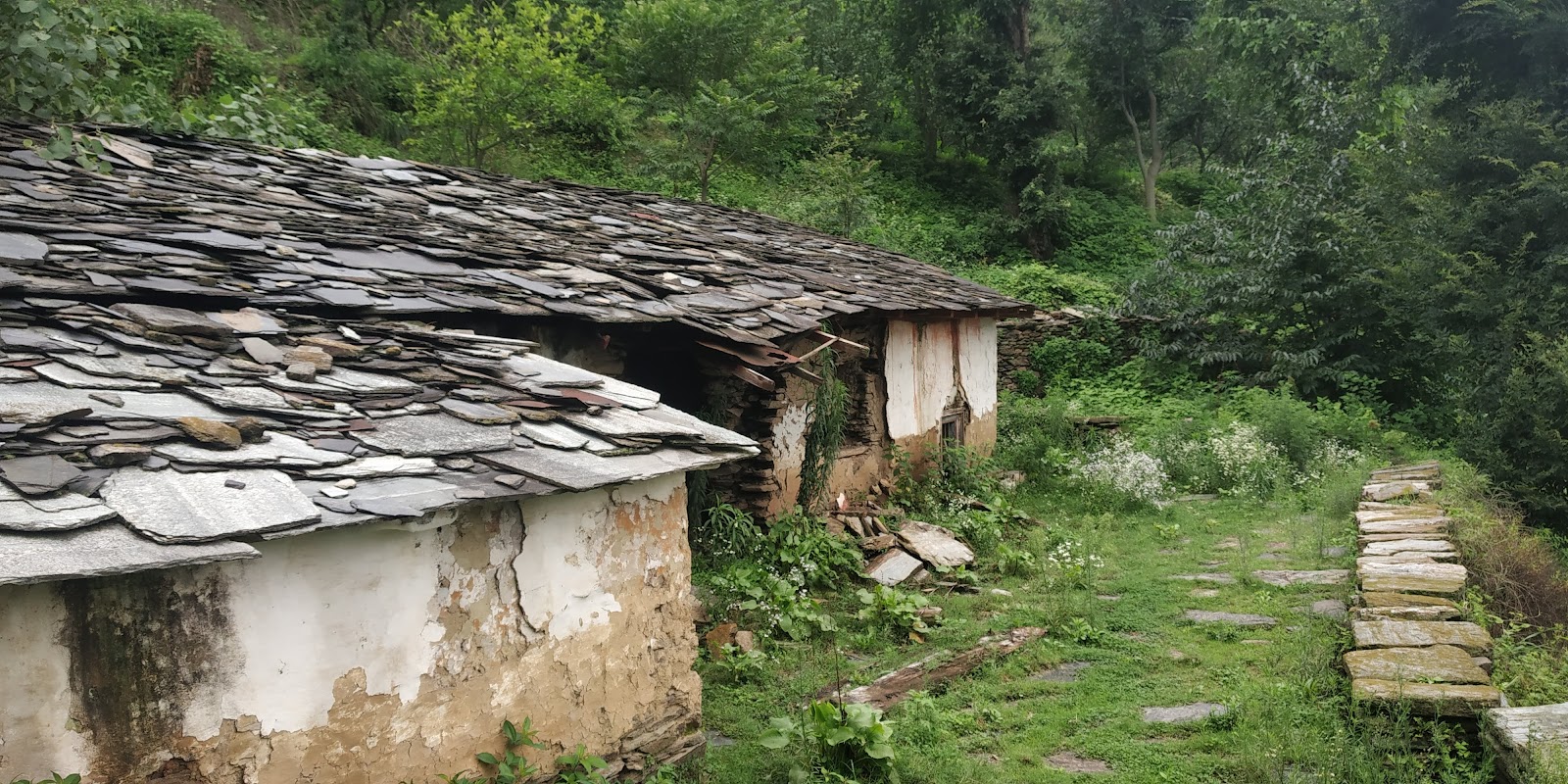 Shoghi (2026) – Best of TikTok, Instagram & Reddit Travel Guide