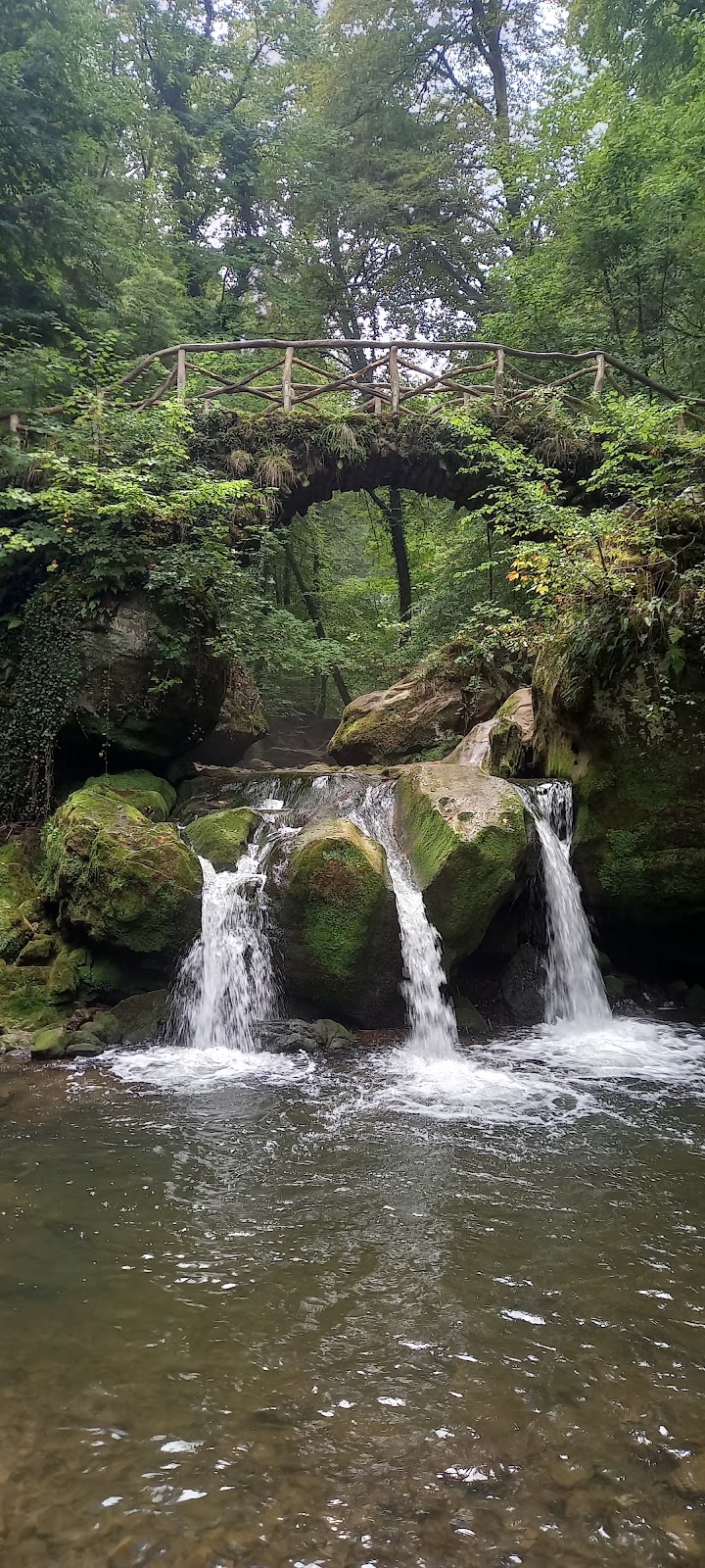 Mullerthal Trail Route 2 Echternach Loop (2026) – Best of TikTok ...