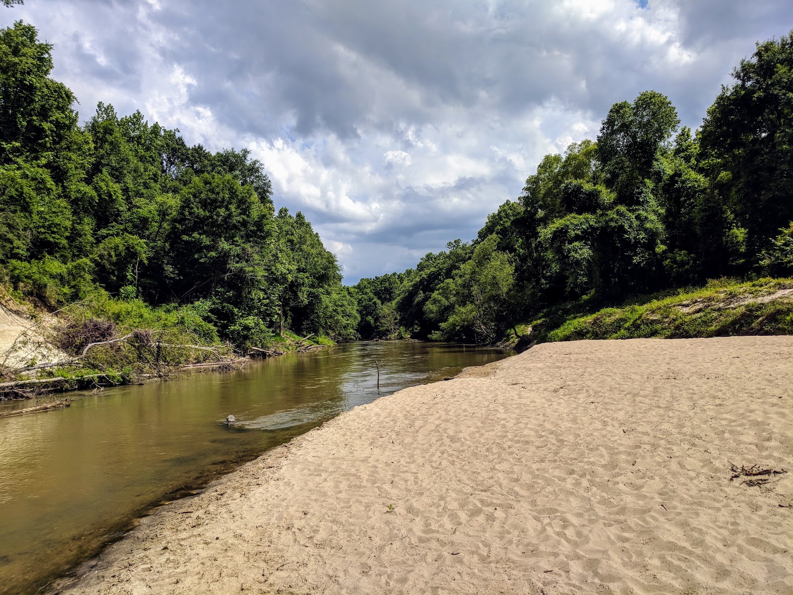 Comite River Park MTB Trails (2025) – Best of TikTok, Instagram ...