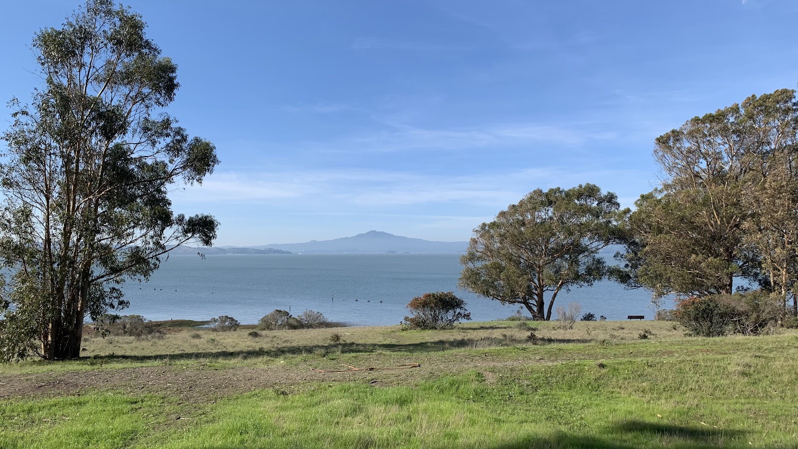 Point Pinole Regional Shoreline (2025) – Best of TikTok, Instagram ...