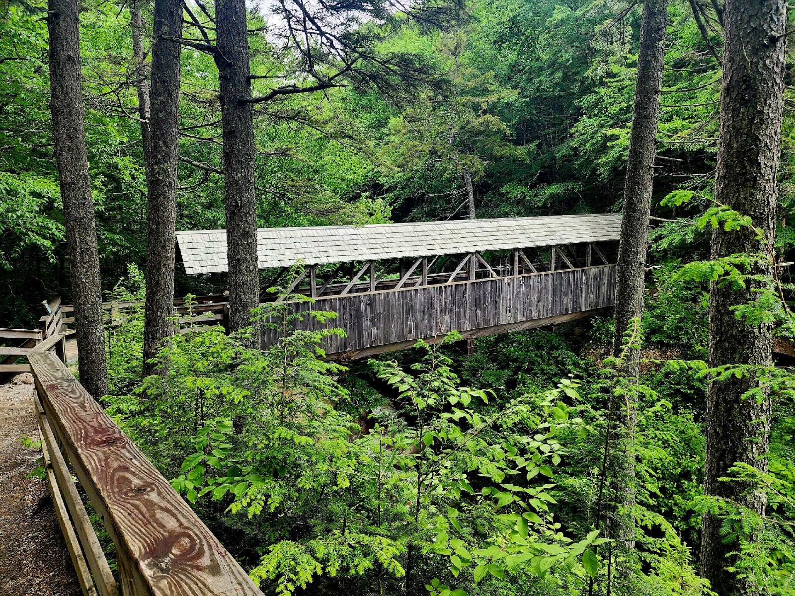 Sentinel Pine Covered Bridge (2025) – Best of TikTok, Instagram ...