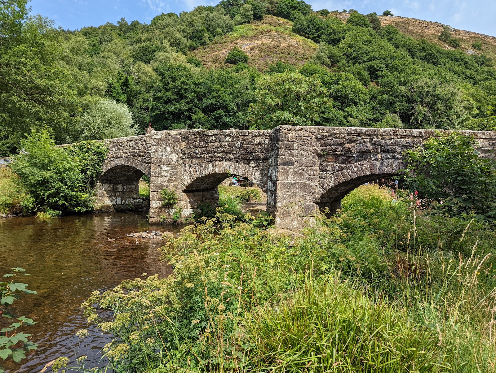 Fingle Bridge and Teign Gorge (2026) – Best of TikTok, Instagram ...