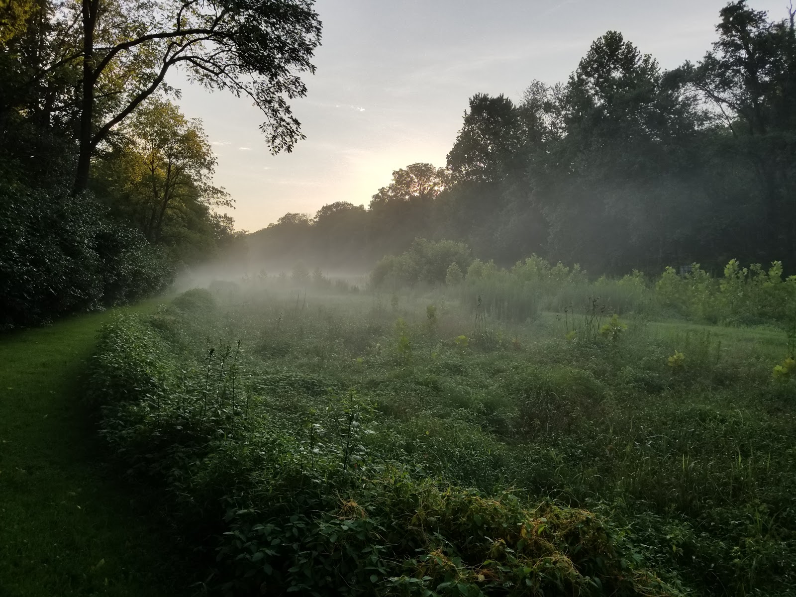 Letort Spring Garden Preserve (2025) – Best of TikTok, Instagram ...