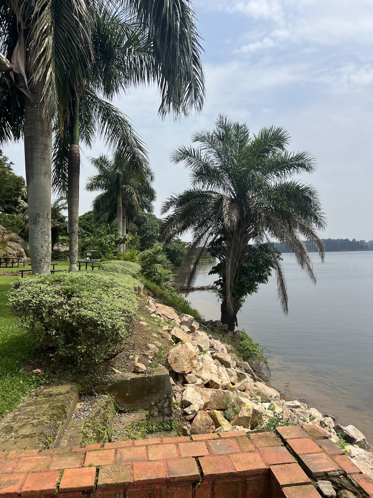 Entebbe Sailing Club (2025) – Best of TikTok, Instagram & Reddit Travel ...