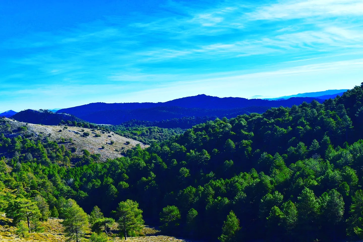 Sierra de Alcaraz Albacete (2026) – Best of TikTok, Instagram & Reddit ...