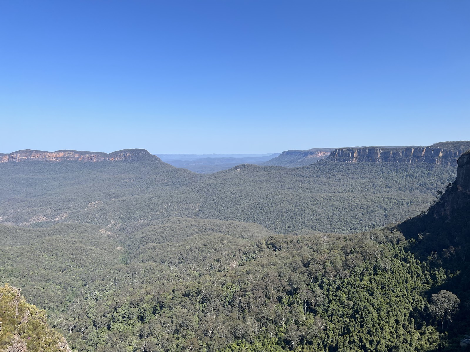 Cliff View Lookout (2026) – Best of TikTok, Instagram & Reddit Travel Guide