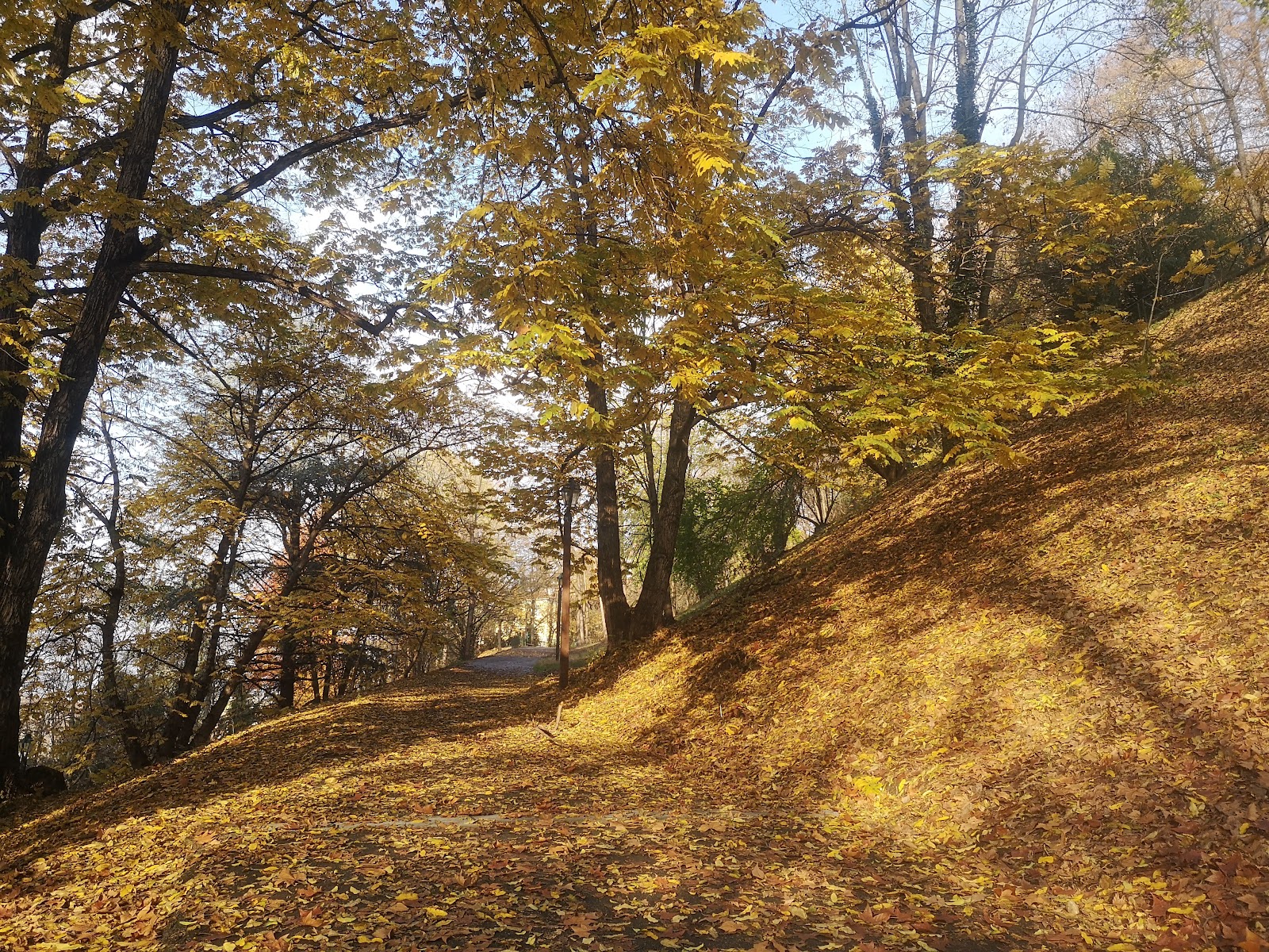 Parco della Collina Torinese (2026) – Best of TikTok, Instagram ...