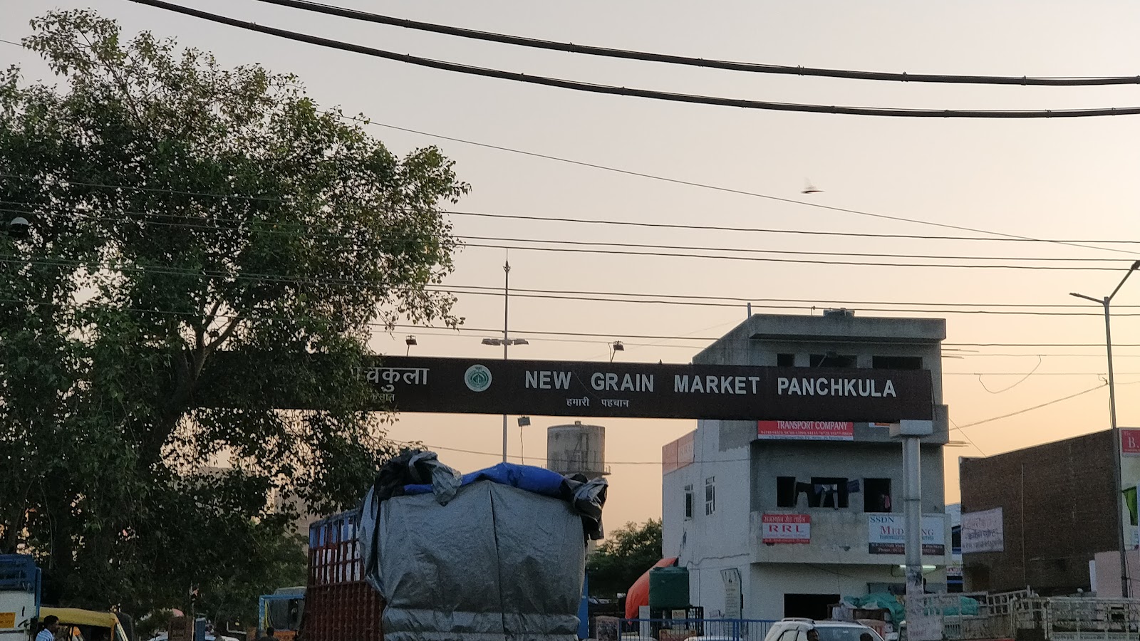 Sector 20 Market Panchkula (2026) – Best of TikTok, Instagram & Reddit ...