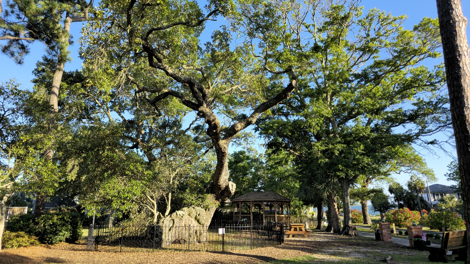 Keziah Memorial Park (2026) – Best of TikTok, Instagram & Reddit Travel ...