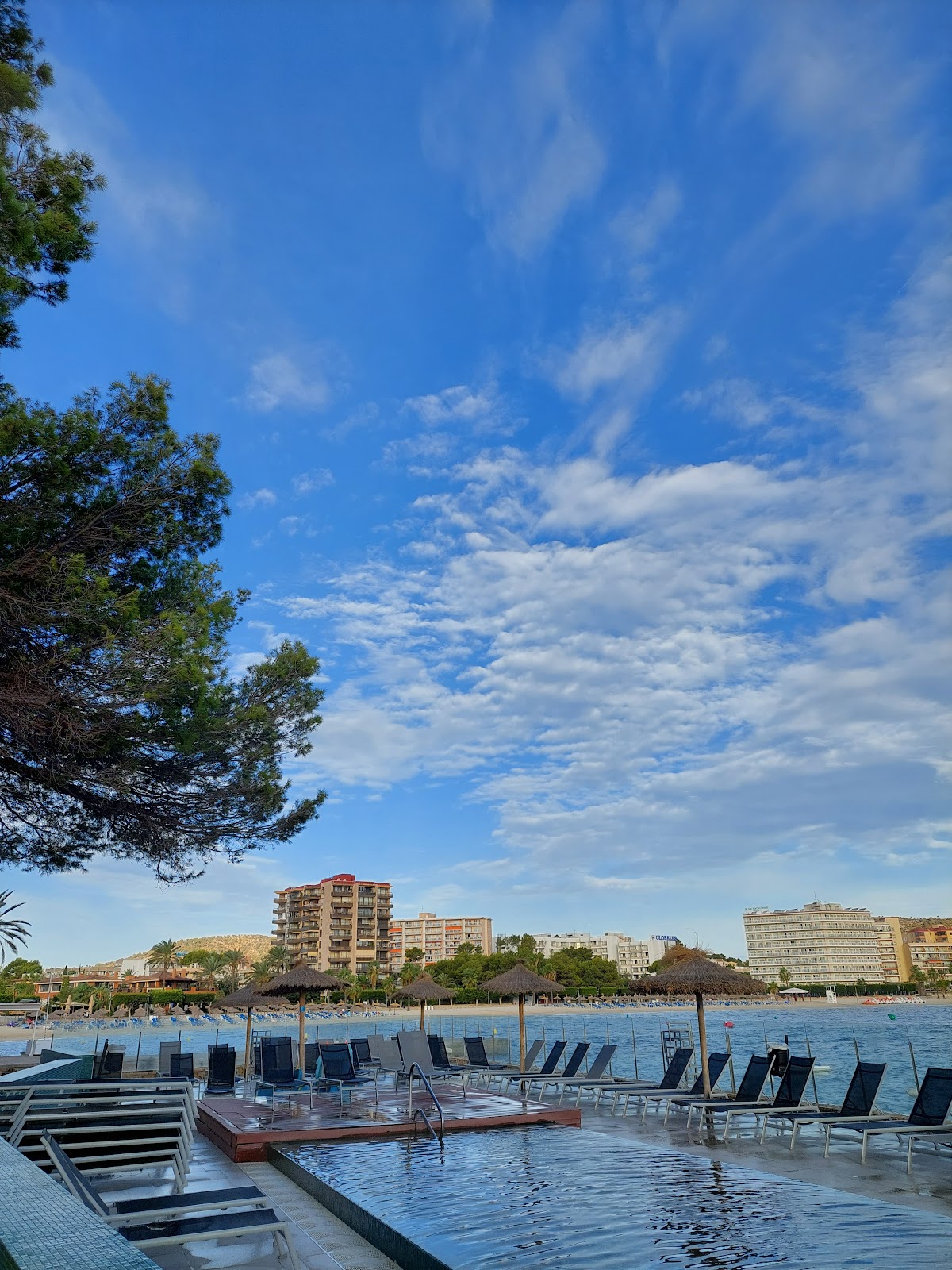 Torrenova (2026) – Best of TikTok, Instagram & Reddit Travel Guide