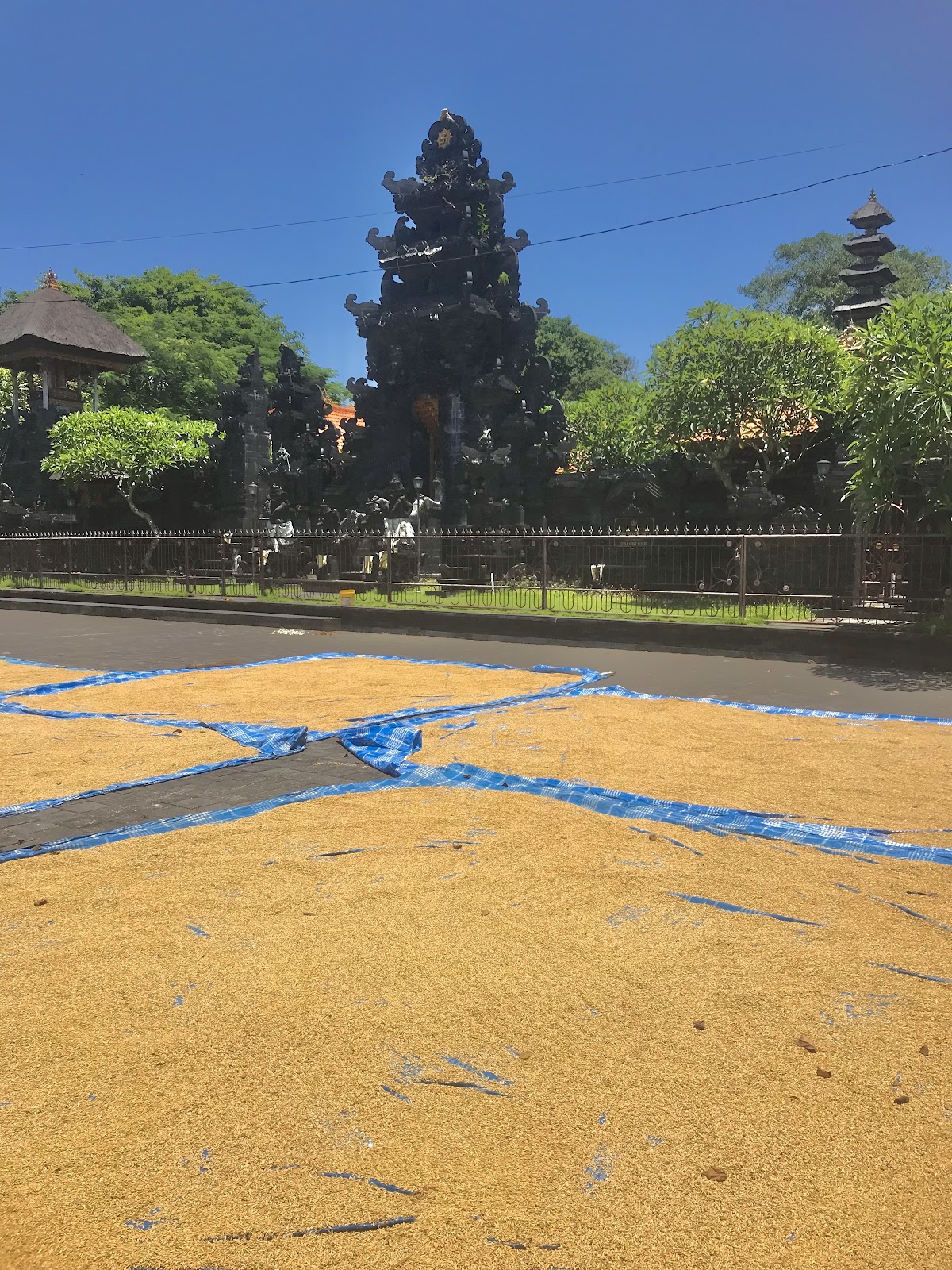Seseh Village (2026) – Best of TikTok, Instagram & Reddit Travel Guide