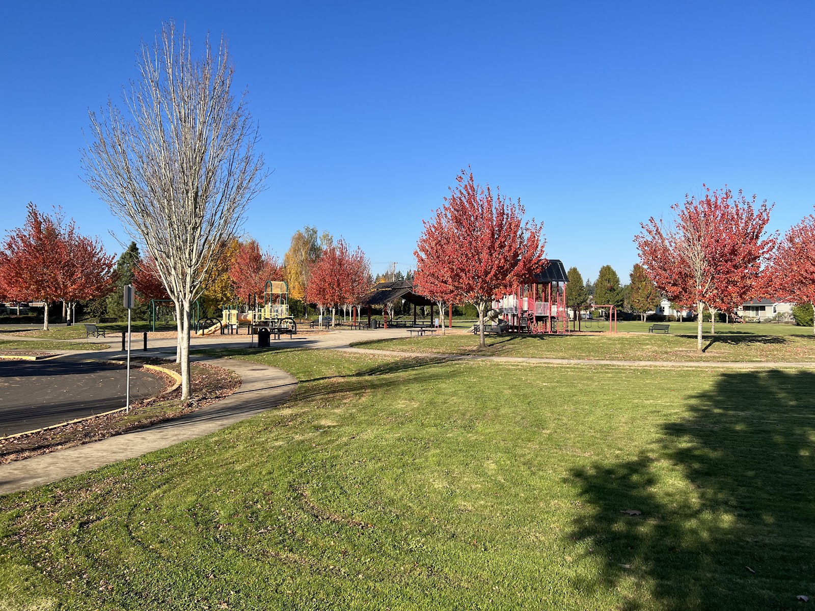 Chegwyn Farms Park (2026) – Best of TikTok, Instagram & Reddit Travel Guide