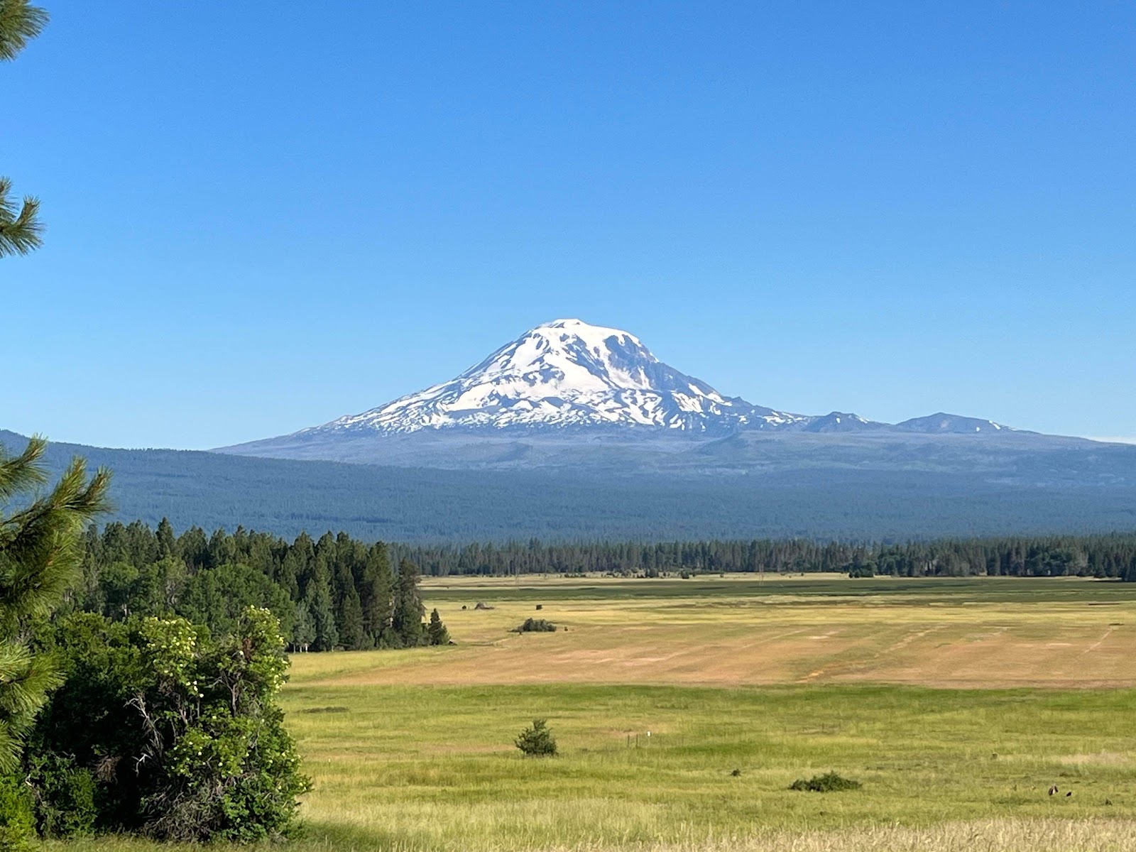 Conboy Lake National Wildlife Refuge Washington (2026) – Best of TikTok ...