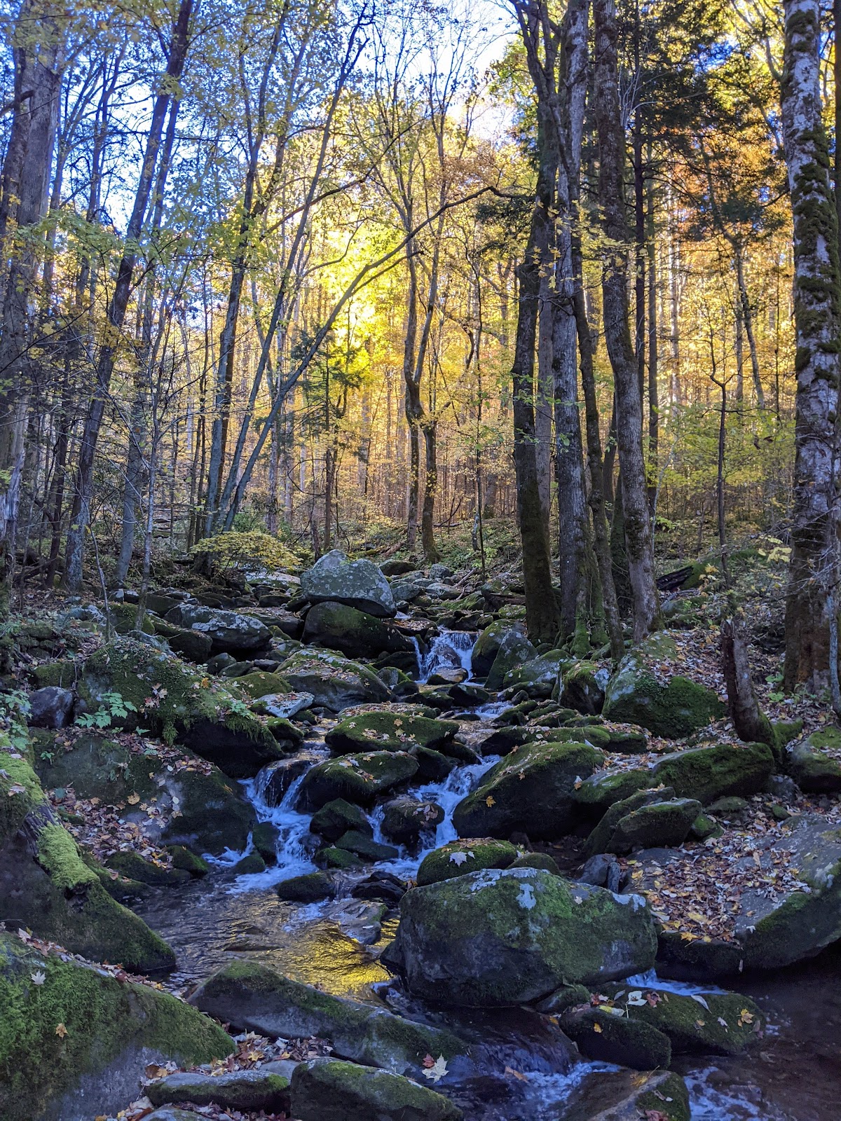 Low Gap Trail (2026) – Best of TikTok, Instagram & Reddit Travel Guide