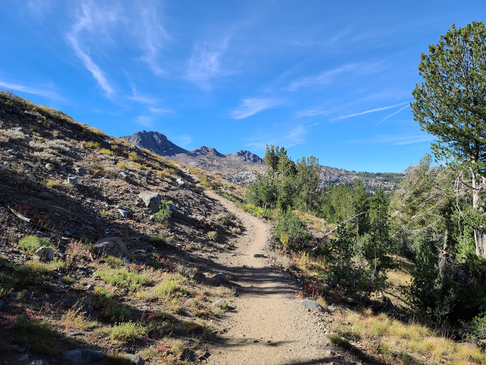 Pacific Crest Trail (2026) – Best of TikTok, Instagram & Reddit Travel ...