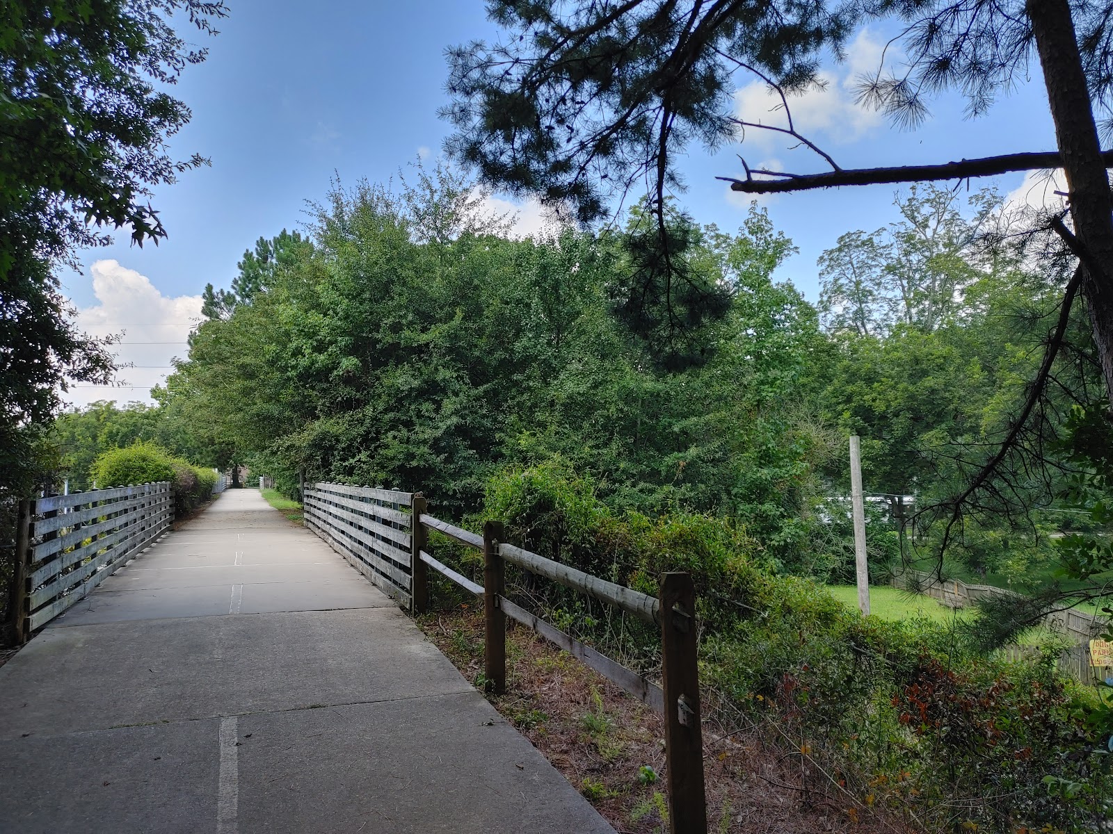 Stone Mountain Trail PATH (2026) – Best of TikTok, Instagram & Reddit ...