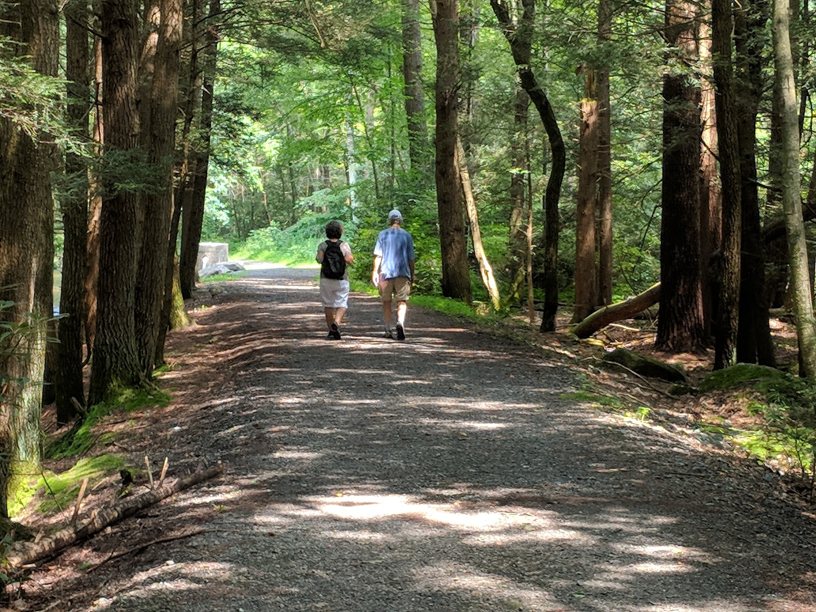 Switchback Railroad Trail (2025) – Best of TikTok, Instagram & Reddit ...