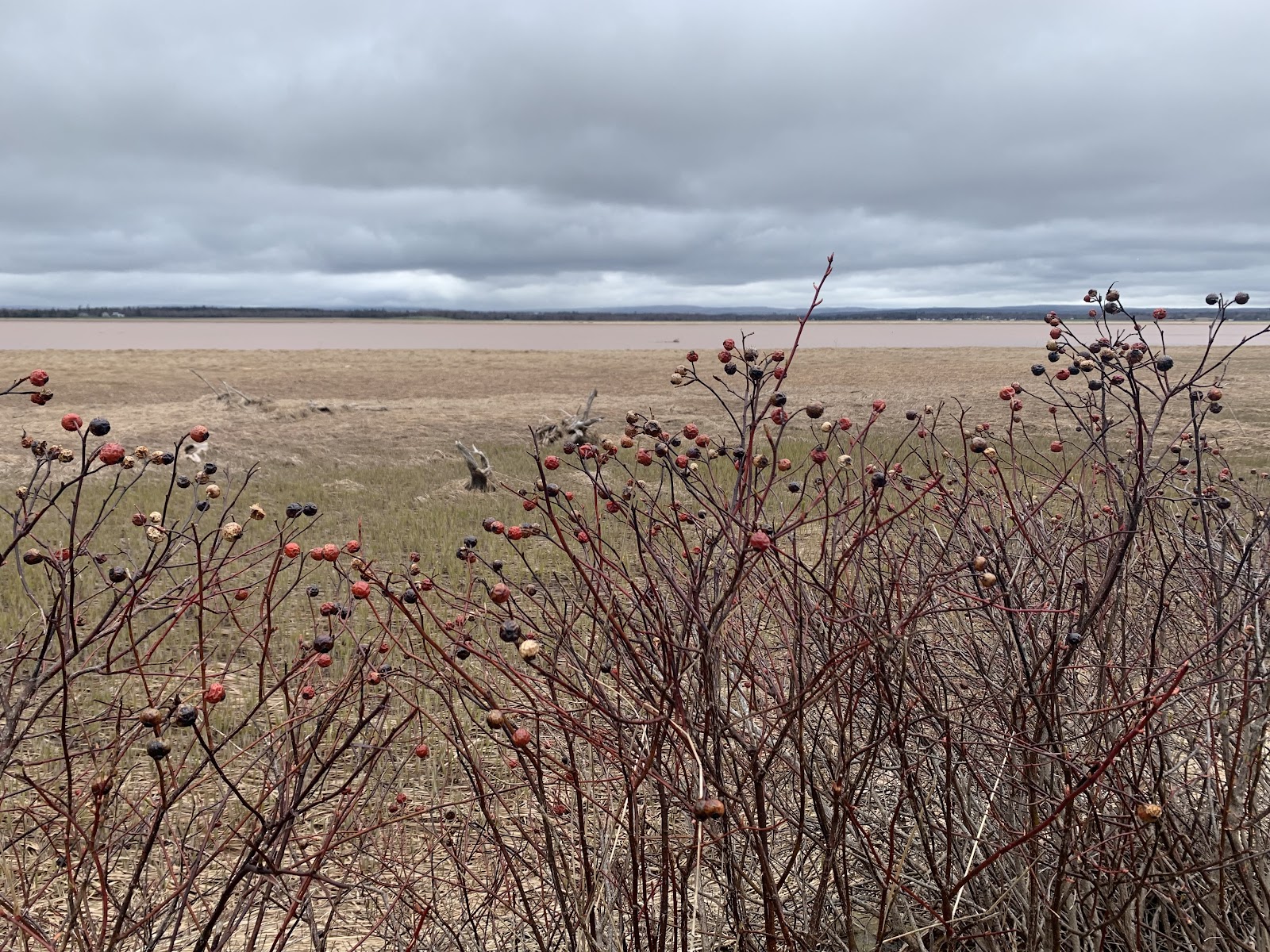 Cobequid Trail Nova Scotia (2026) – Best of TikTok, Instagram & Reddit ...