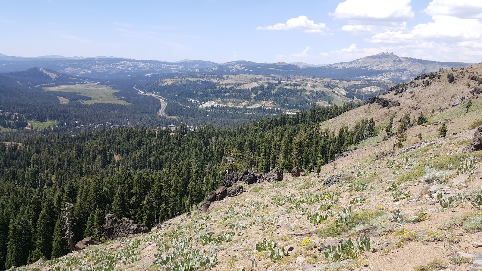 Mount Judah Loop (2025) – Best of TikTok, Instagram & Reddit Travel Guide
