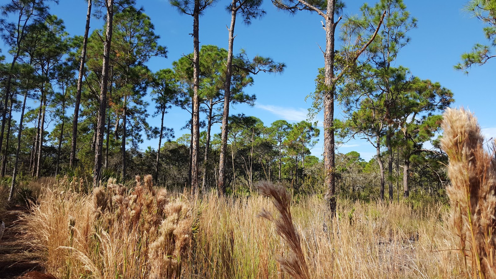 Gordon River Greenway Naples (2026) – Best of TikTok, Instagram ...
