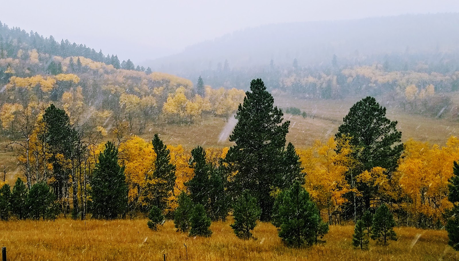 Vanocker Canyon Road (2026) – Best of TikTok, Instagram & Reddit Travel ...