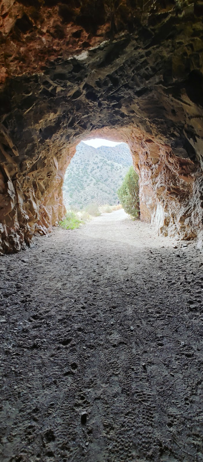 Tunnel Drive (2026) – Best of TikTok, Instagram & Reddit Travel Guide
