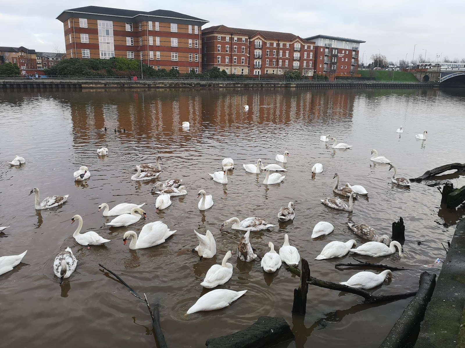 Victoria Bridge Stockton (2025) – Best of TikTok, Instagram & Reddit ...
