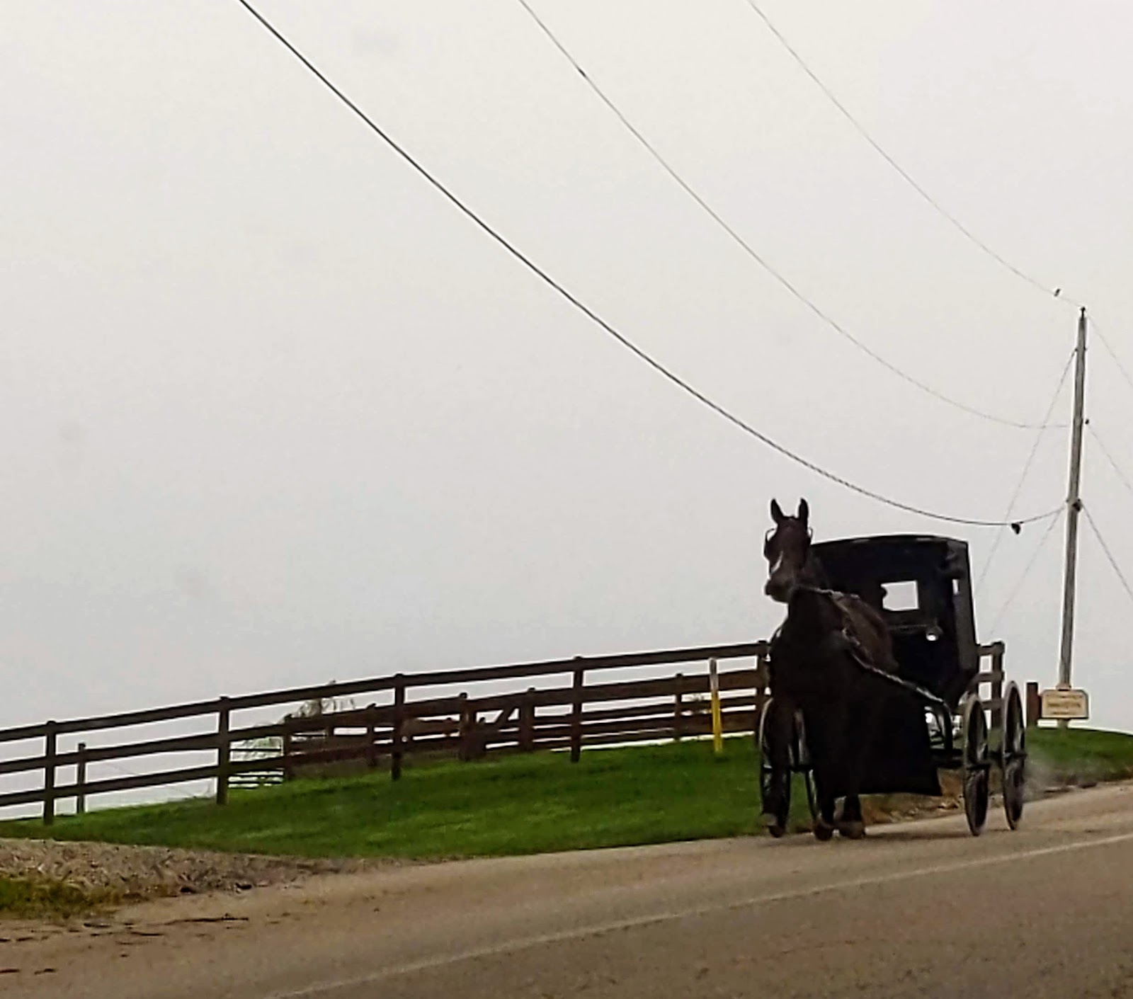 Ohio Amish Country Byway (2025) – Best of TikTok, Instagram & Reddit ...