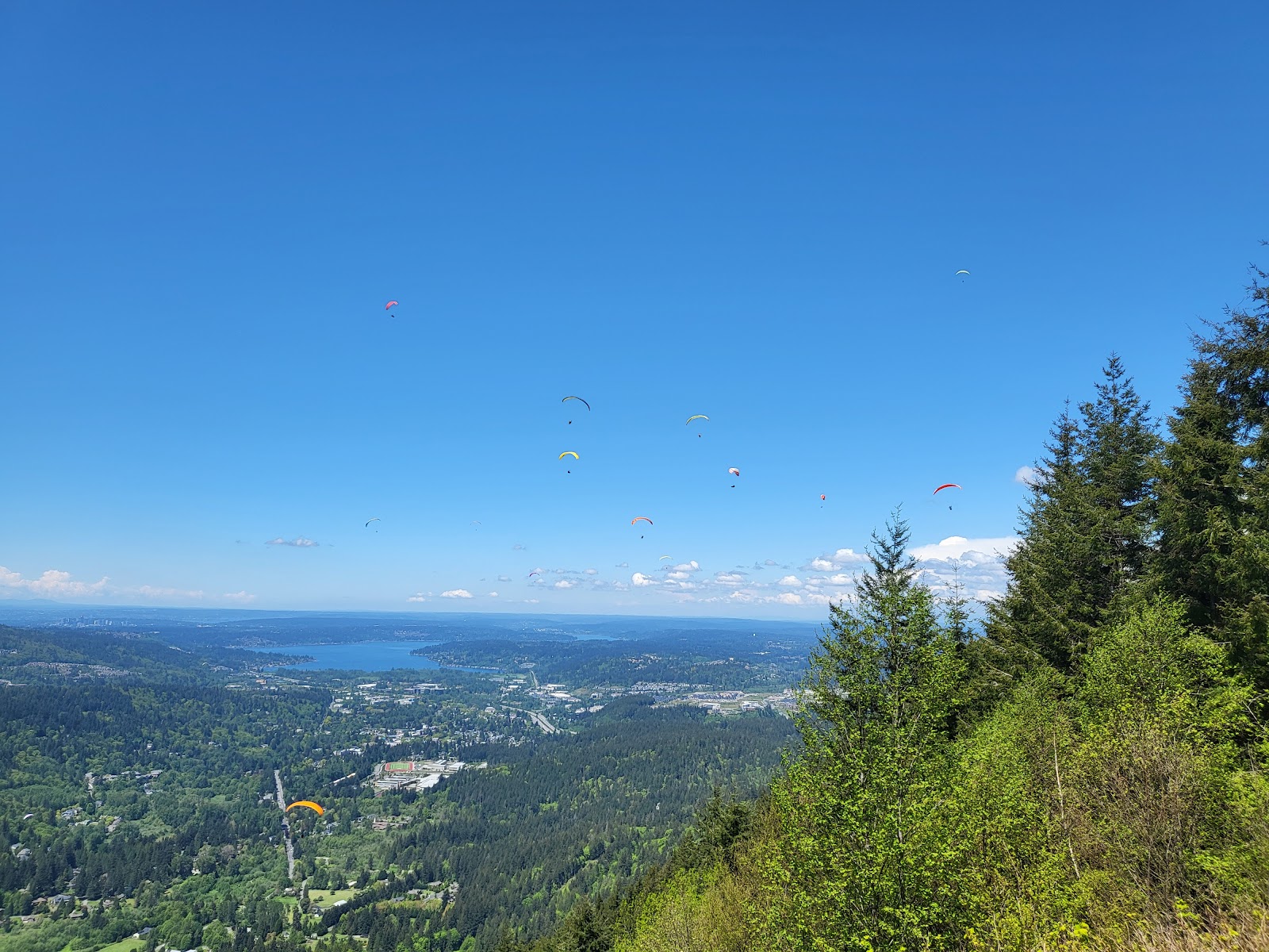 Poo Poo Point (2025) – Best of TikTok, Instagram & Reddit Travel Guide