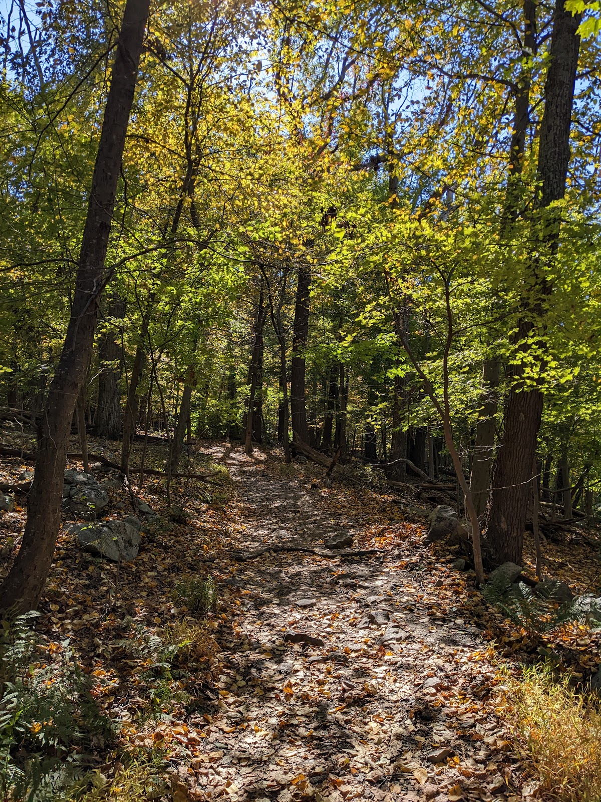 Appalachian Trail Neels Gap (2026) – Best of TikTok, Instagram & Reddit ...