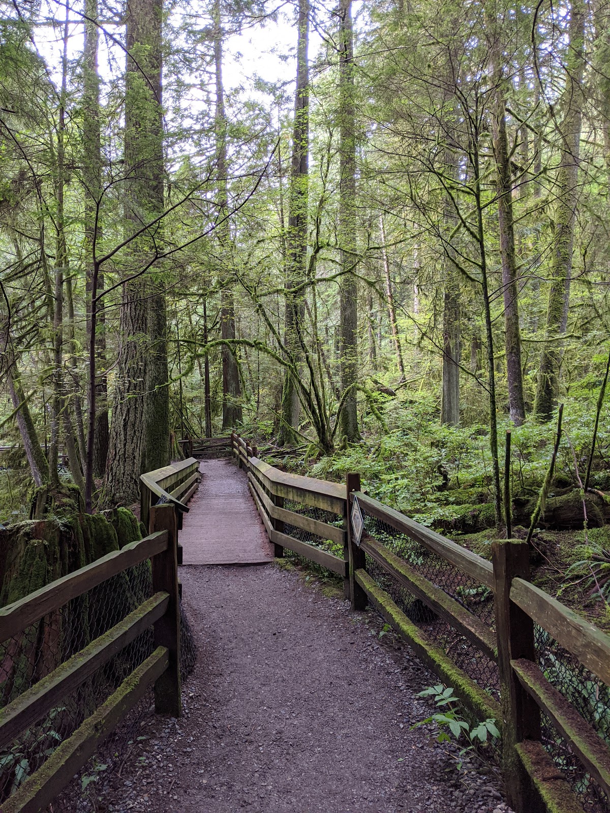 Capilano Pacific Trail (2026) – Best of TikTok, Instagram & Reddit ...