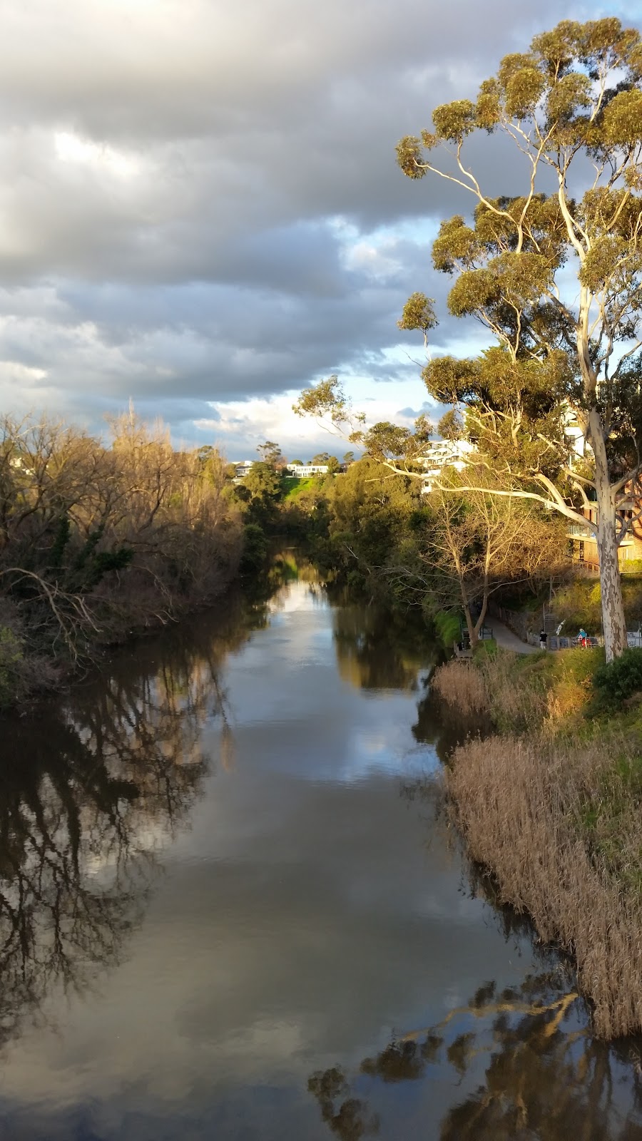 Walmer Street Bridge (2025) – Best of TikTok, Instagram & Reddit Travel ...